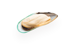 Alles over mosselen en andere zeevruchten - Mossel Stad